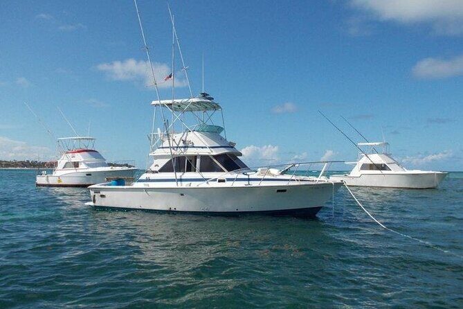 Offshore Fishing - Half Day (Trolling) - Key Points