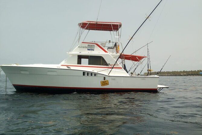 Offshore Fishing - Half Day (Trolling) - In The Sum Up