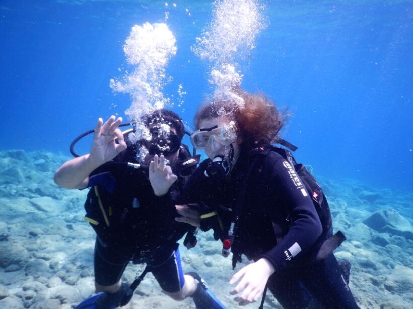 Oia: 2 Guided Scuba Dives off Santorini for Certified Divers - Who Is This Tour Best For?