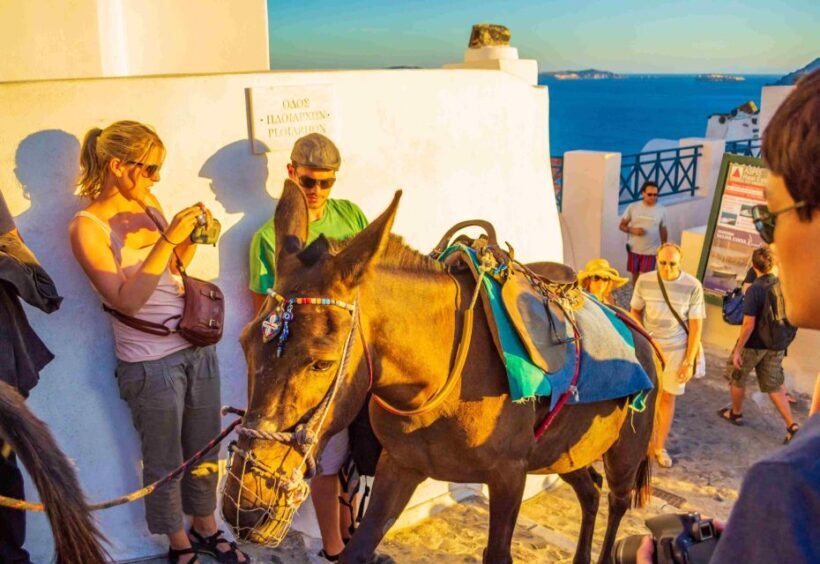Oia Sunset Daily Tour - Why the Sunset Matters