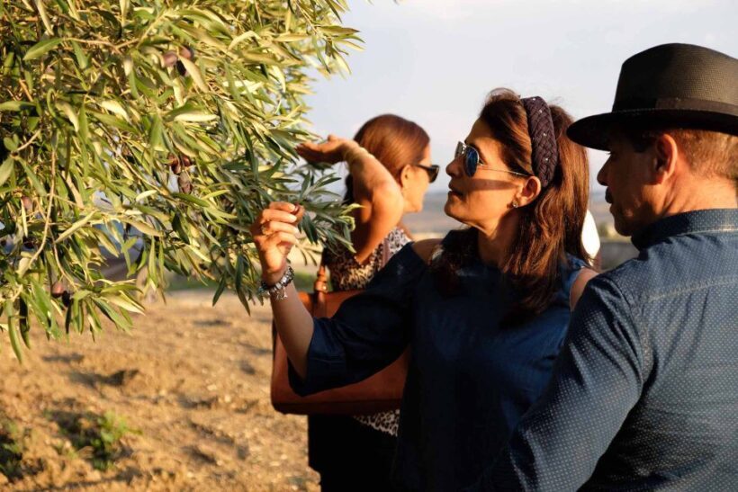 Oil and food tasting in the province of Agrigento - FAQ: Your Practical Questions Answered