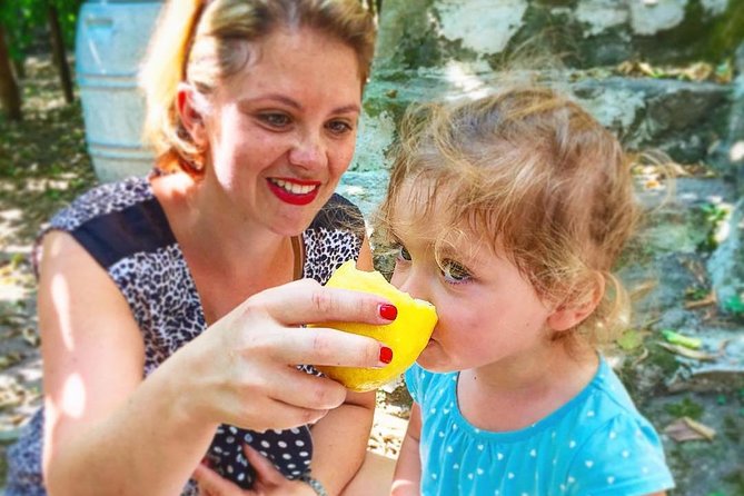 Oil, Cheese And Lemon Tour - Highlights of the Experience