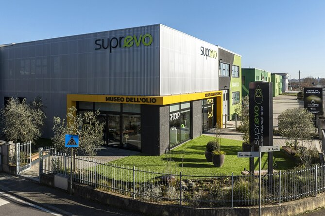 Oil museum and oil mill in Tuscany: tour and tasting - Introducing the Experience