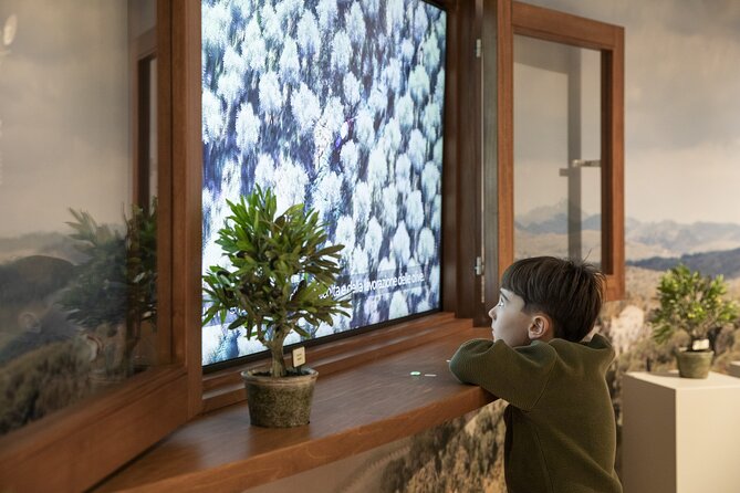 Oil museum and oil mill in Tuscany: tour and tasting - The Sum Up