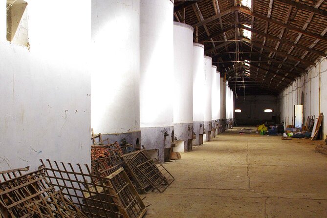 Oil Tour in Historic Baglio Florio Adamo with Lunch - What’s Included and What’s Not