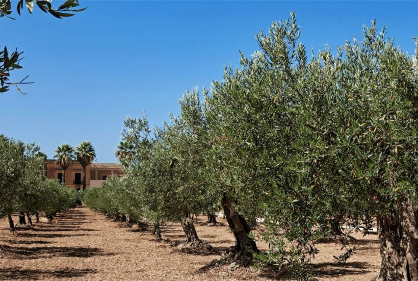 Oil & Wine Tasting - Frequently Asked Questions