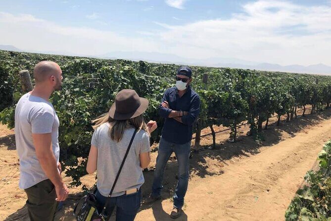 Ojos Negros Valley Wine and Cheese Route Tour in Baja California - The Sum Up