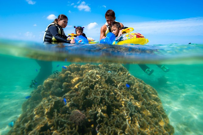 OK From 2 Years Old! / Sea Picnic & Snorkel - Inclusions and Fees