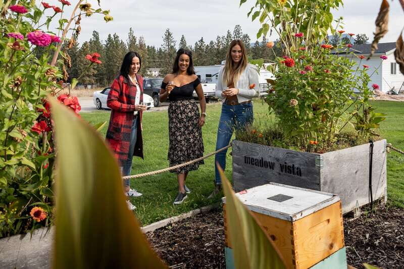 Okanagan Bee Tour, Wine Tasting and Lunch at Kelowna Winery - A Full Breakdown of the Okanagan Bee Tour Experience