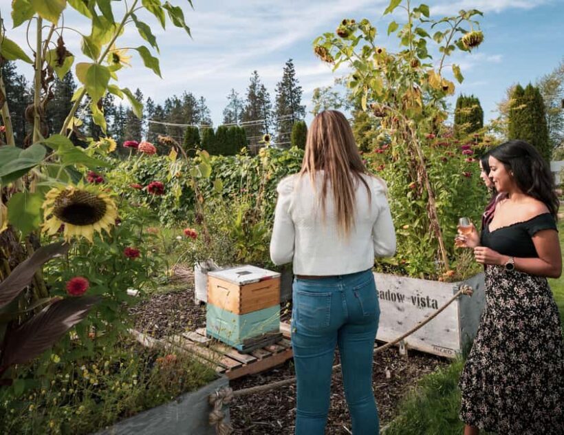 Okanagan Blackberry Fest; Wine Flights & Charcuterie Kelowna - Gift and Takeaways