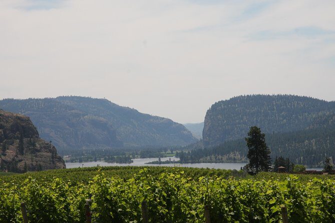 Okanagan Falls Private Wine Tour - Full Day - Who Will Love This Tour?