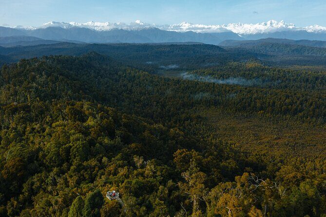 Okarito Nature Tour - Key Points