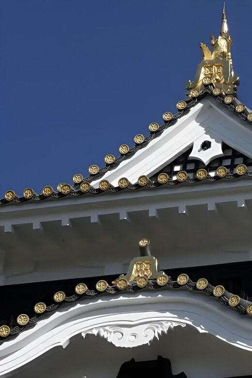 Okayama Castle Admission Ticket - A Closer Look at the Experience