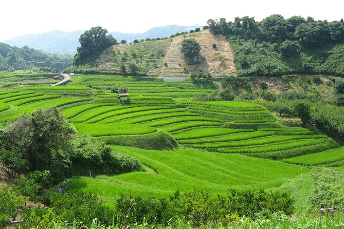 Okayama Half-Day Private Trip With Government-Licensed Guide - Accessibility and Accommodations