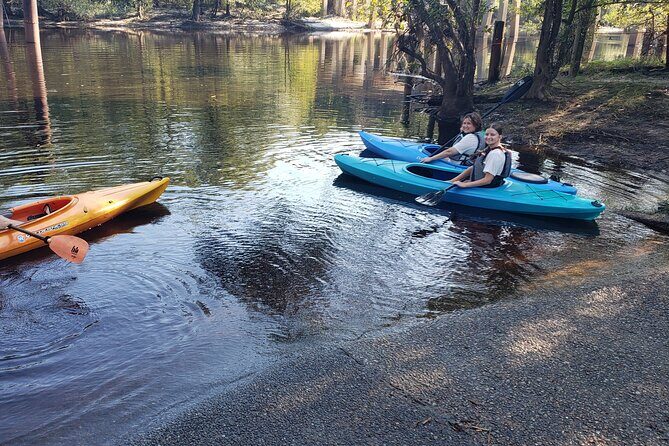 Okefenokee Swamp: Guided Kayak Tour with a Local Naturalist - What to Expect During the Tour