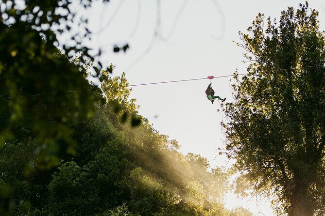 Okere Falls Zipline Experience - Who Should Consider This Tour?