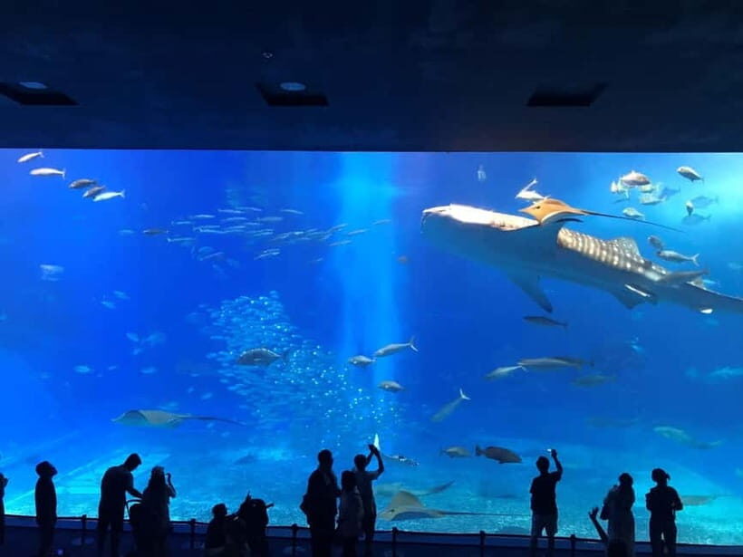 Okinawa: Aquarium, Kouri Island, & American Village Bus Tour - Key Points