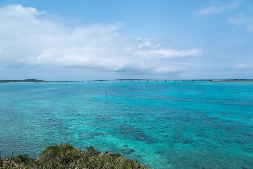 Okinawa Classic Highlights & Flexible Routes: Private Tour - Final Thoughts