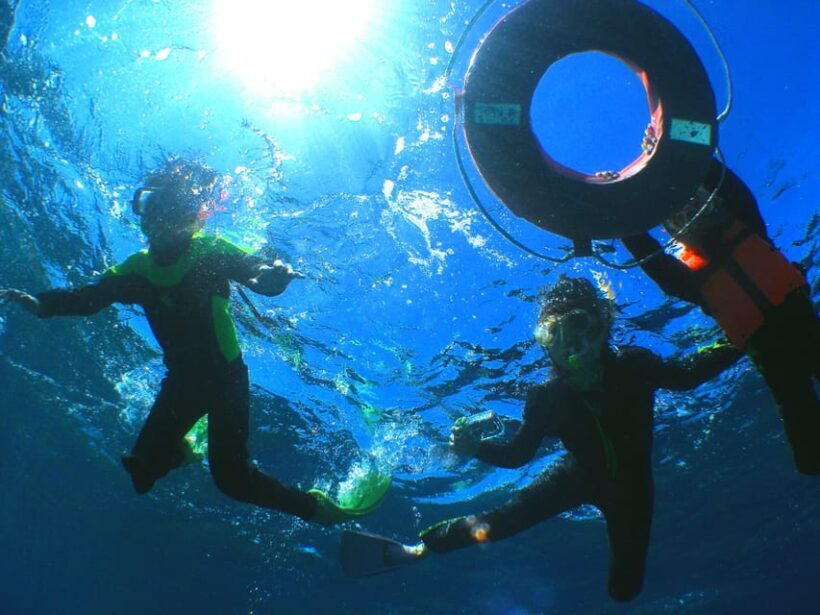 Okinawa: From Naha: Kerama Islands 1-day snorkeling tour - The Itinerary & What Makes It Special