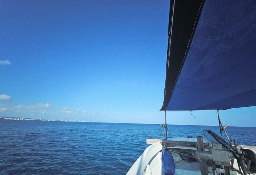 Okinawa: Half-Day Fishing Trip with Local Fisherman - An Introduction to the Experience