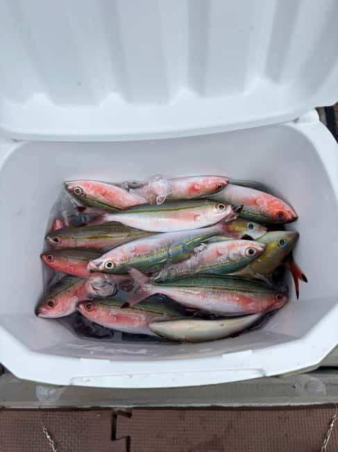 Okinawa: Half-Day Fishing Trip with Local Fisherman - FAQs