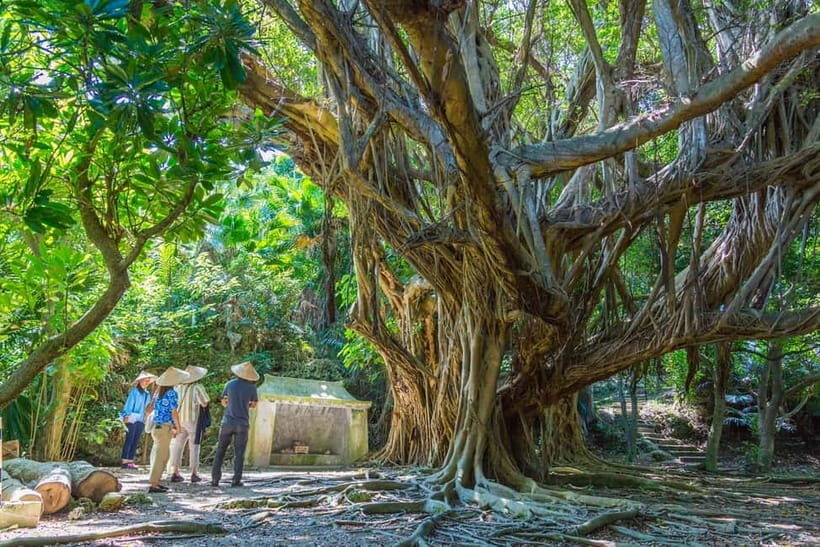 Okinawa: Henza and Hamahiga Islands Guided Bike Tour - FAQ
