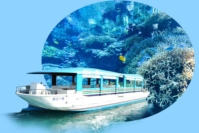 Okinawa Hip-hop Bus B Course Tour (Okinawa Churaumi Aquarium) - Meeting and Pickup Information