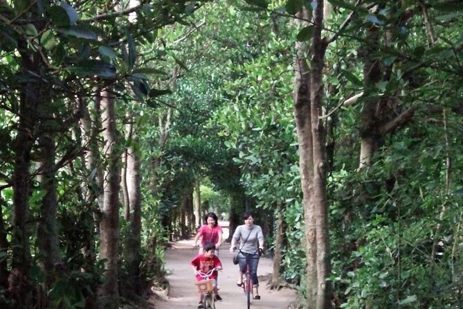 Okinawa Hip-hop Bus B Course Tour (Okinawa Churaumi Aquarium) - Traveler Reviews and Feedback