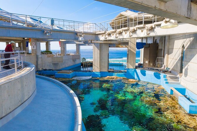Okinawa Hip-hop Bus B Course Tour (Okinawa Churaumi Aquarium) - Itinerary and Activities
