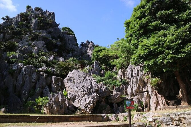 Okinawa Hip-hop Bus C Course Tour to Northern Island - Reviews and Experiences