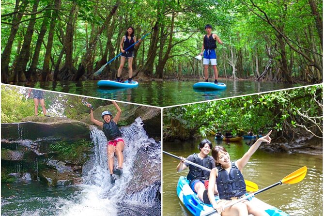 Okinawa Iriomote Mangrove SUP or Canoe Tour and Splash Canyoning - Key Points