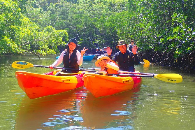 Okinawa Iriomote Mangrove SUP or Canoe Tour - Exploring the Mangrove Ecosystem