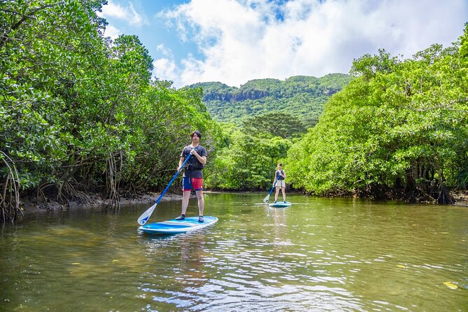 Okinawa Iriomote Mangrove SUP or Canoe Tour - Preparing for Your SUP or Canoe Adventure