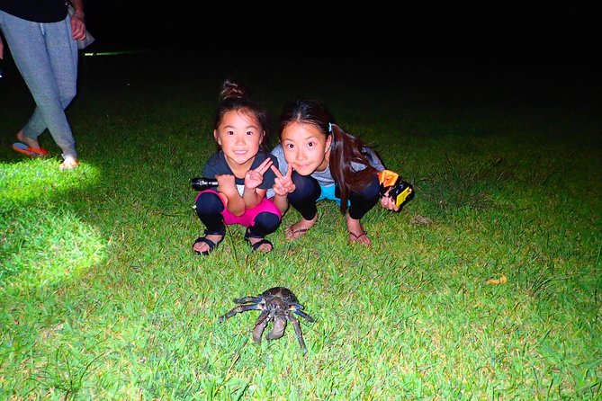 [Okinawa Iriomote] Night Adventure Tour - Pricing and Booking Information
