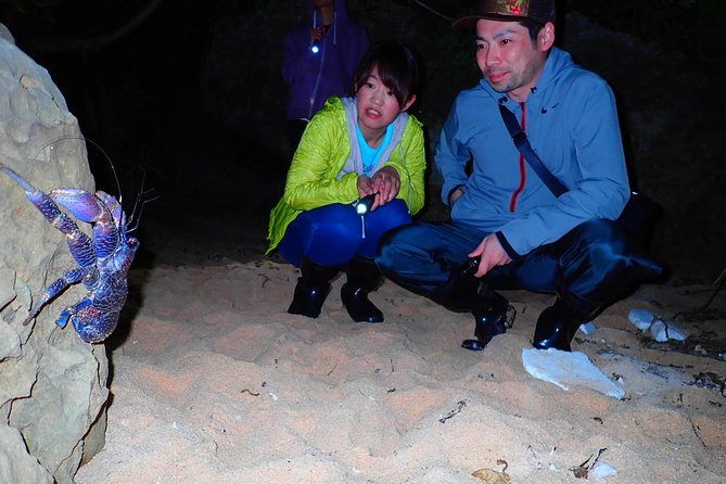 [Okinawa Iriomote] Night Adventure Tour - Traveler Testimonials