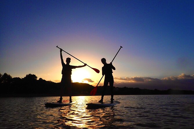 [Okinawa Iriomote] Sunrise SUP/Canoe Tour in Iriomote Island - Exploring Iriomote Island