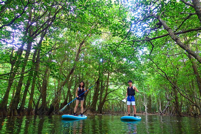 Okinawa Iriomote SUP or Canoe and Sightseeing in Yubujima Island - Customer Feedback