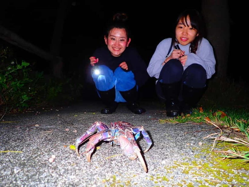 Okinawa Iriomotejima Night Adventure Tour - The Itinerary – Step by Step