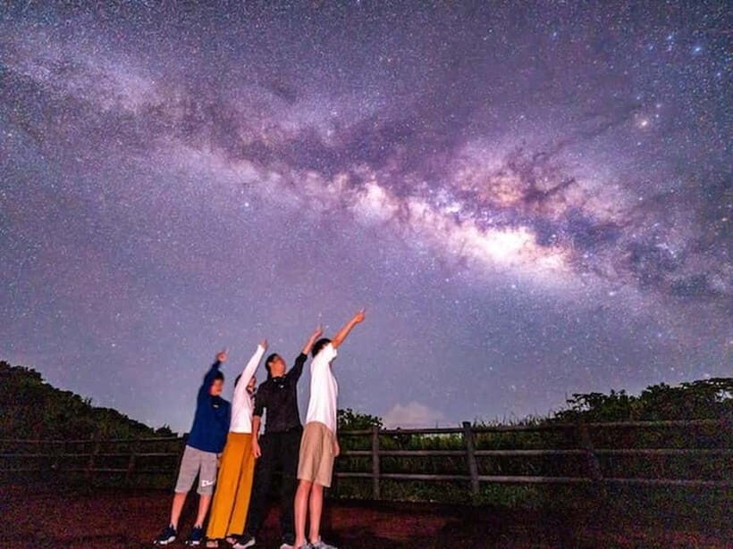 Okinawa Iriomotejima Night Adventure Tour - The Value of a Guided Night Adventure