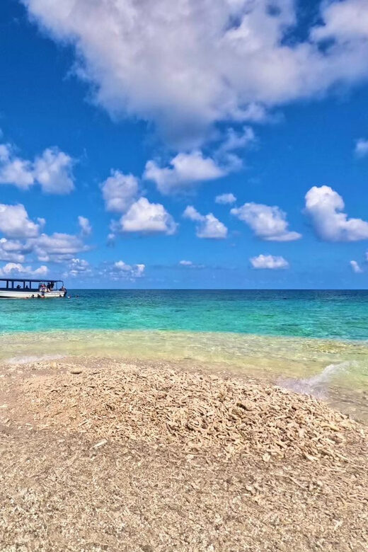 Okinawa Iriomotejima Night Adventure Tour - Final Thoughts on Value and Suitability