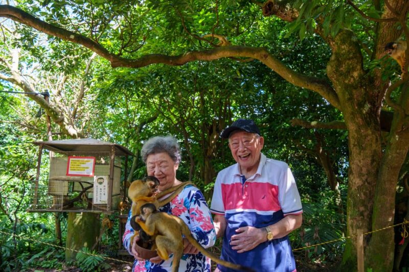 Okinawa Ishigaki Island Private Tour - Getting to Ishigaki Island