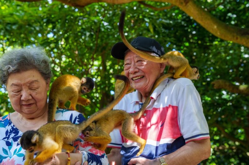 Okinawa Ishigaki Island Private Tour - Preparing for the Tour