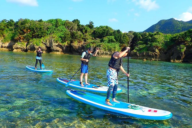 Okinawa Ishigaki Kabira Bay SUP or Canoe Tour - Participation Guidelines
