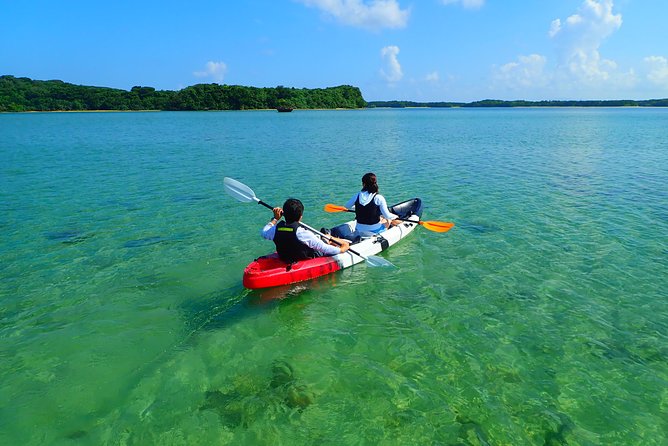 Okinawa Ishigaki Kabira Bay SUP or Canoe Tour - Paddling Through Crystal Waters