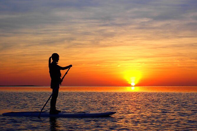 Okinawa Ishigaki Sunset SUP or Canoe Tour - Discovering Ishigakis Natural Beauty