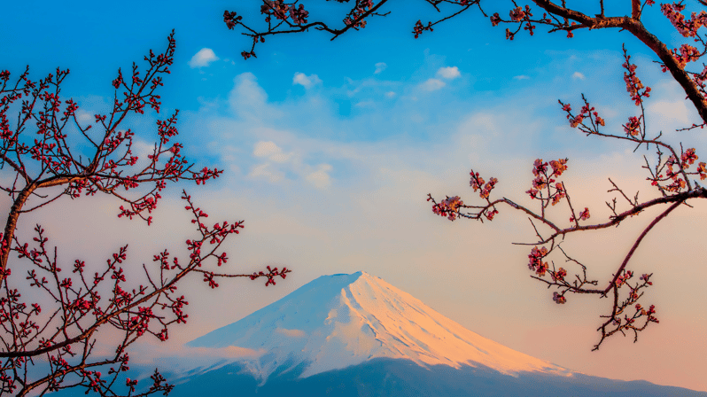 Okinawa Island Japan 4 Days Tour Accomodation & 3x Meal - Dining Experiences