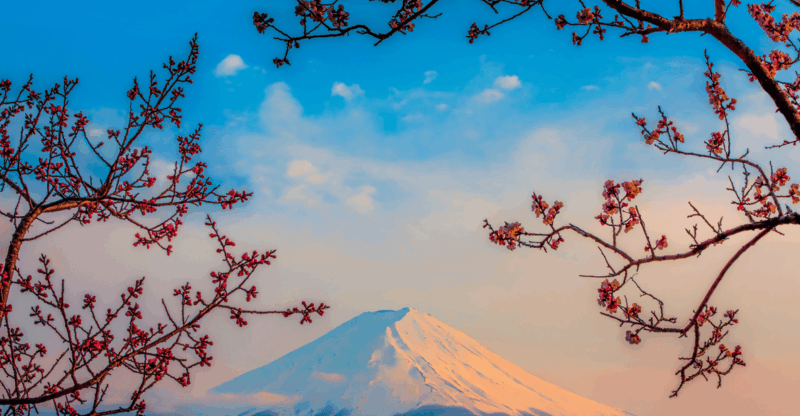 Okinawa Island Japan 4 Days Tour Accomodation & 3x Meal - Packing Essentials