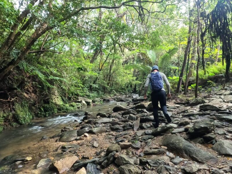 Okinawa: Jungle River Trek: Private Tour in Yanbaru - Duration and Pricing