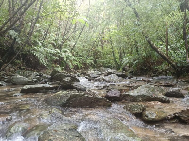 Okinawa: Jungle River Trek: Private Tour in Yanbaru - Important Considerations