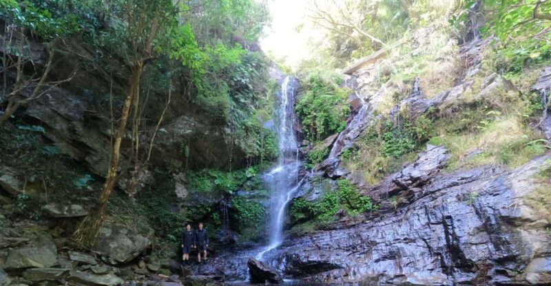 Okinawa: Jungle River Trek: Private Tour in Yanbaru - Private Group Experience
